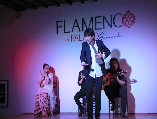 7 Best Flamenco Shows in Granada, Spain: 2024 Guide