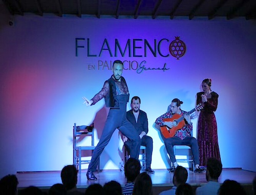 7 Best Flamenco Shows in Granada, Spain: 2024 Guide